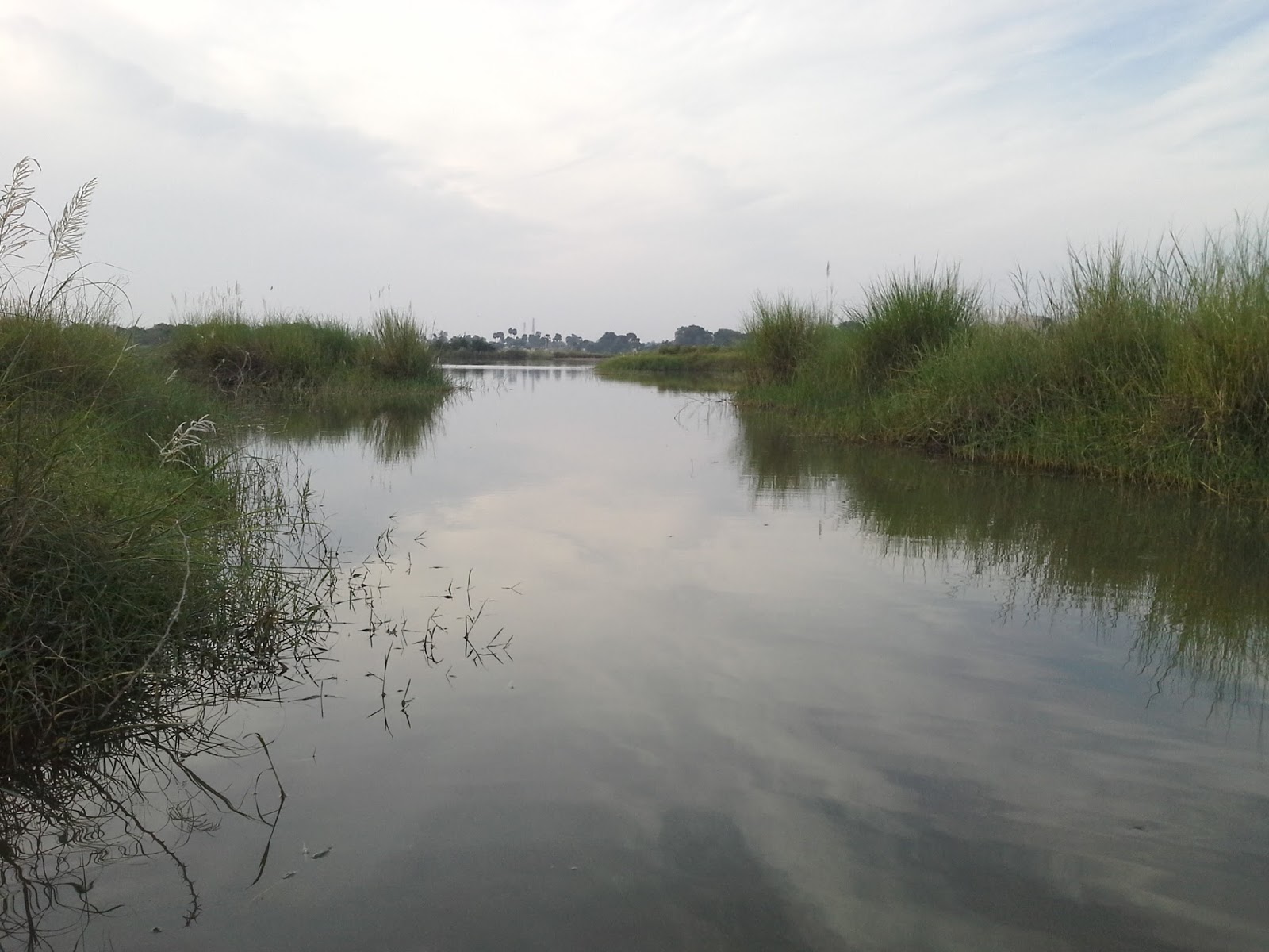 Shripad Shrivallabh Datta Parampara: कुरवपूर (Kuruvapur)