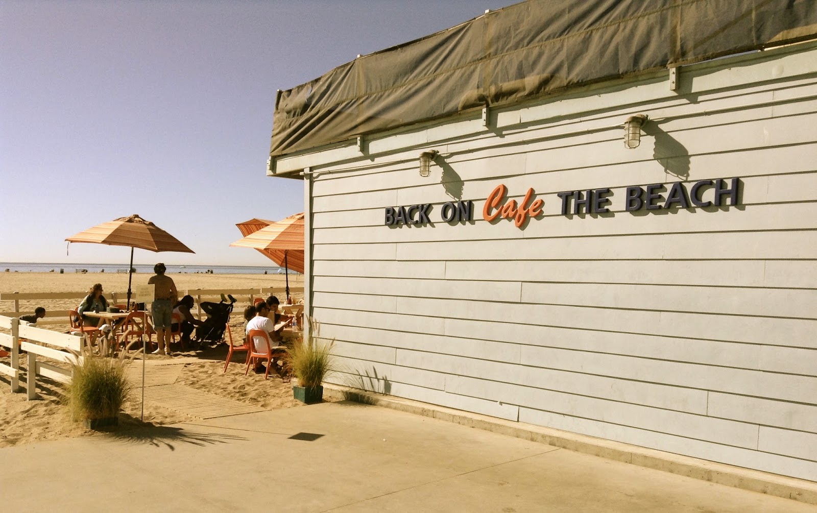 Healthy Gypsy Traveller