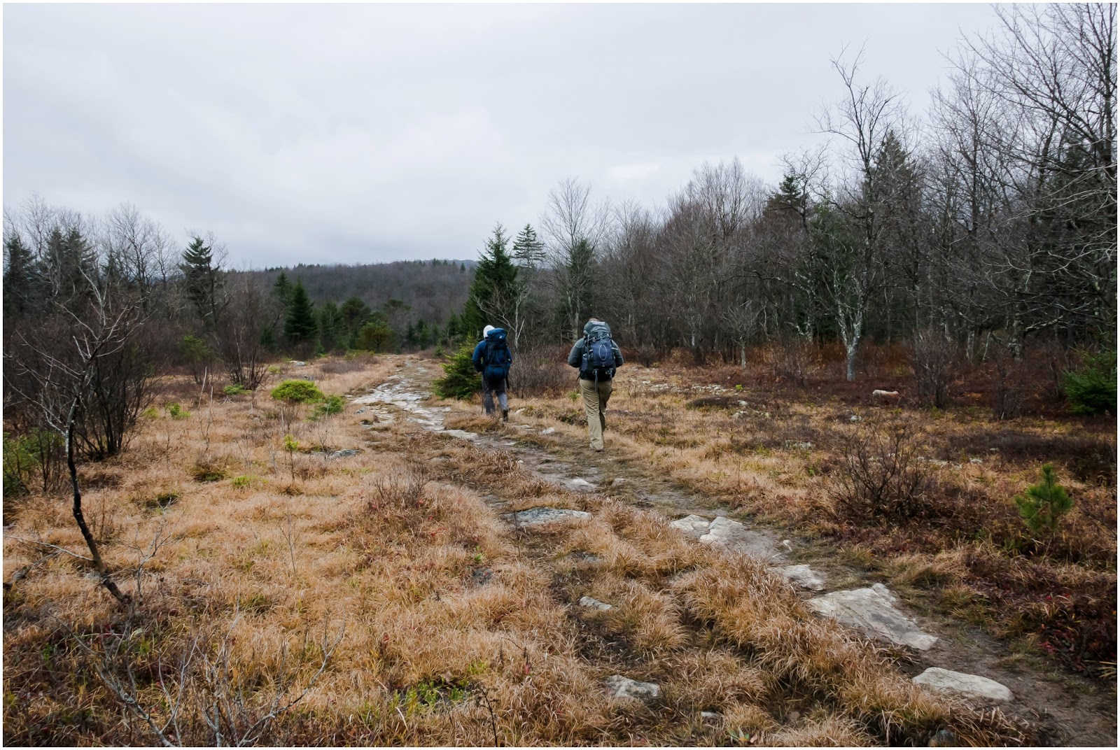 Conseils de randonnée à Dolly Sods