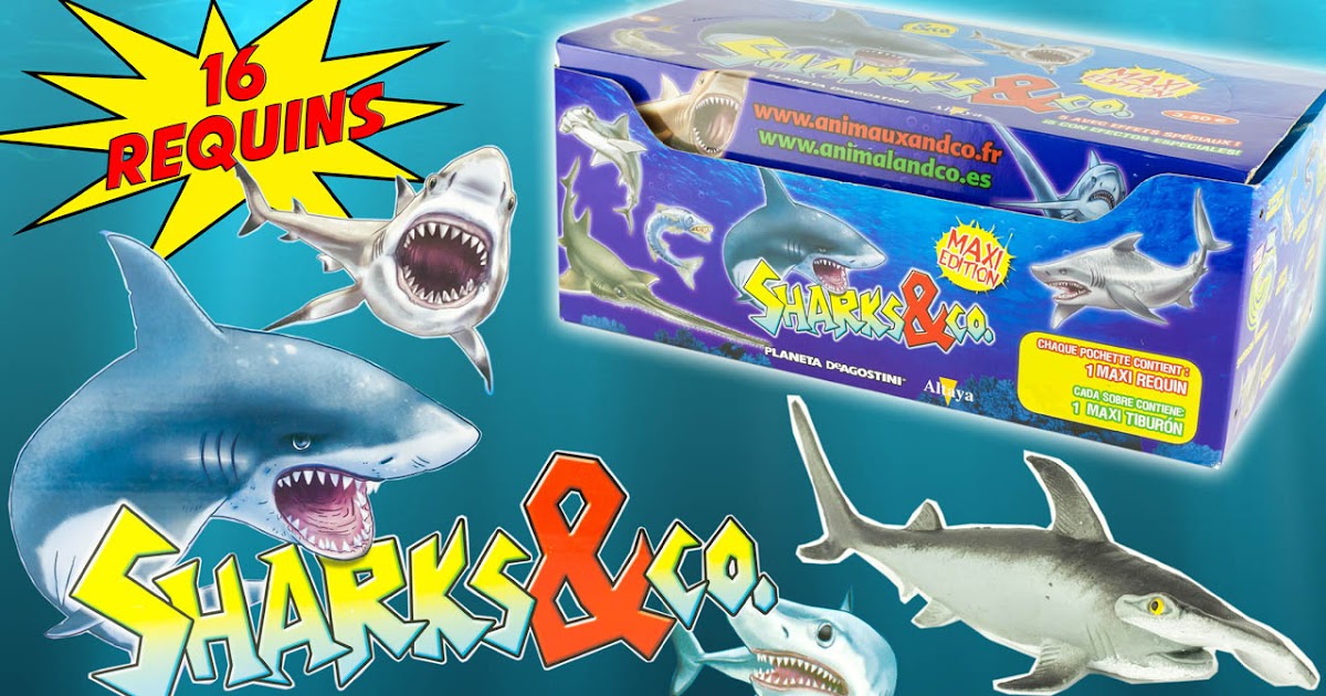 Super Héros Et Compagnie: SHARKS & CO Boite Complète de 16 Requins ...