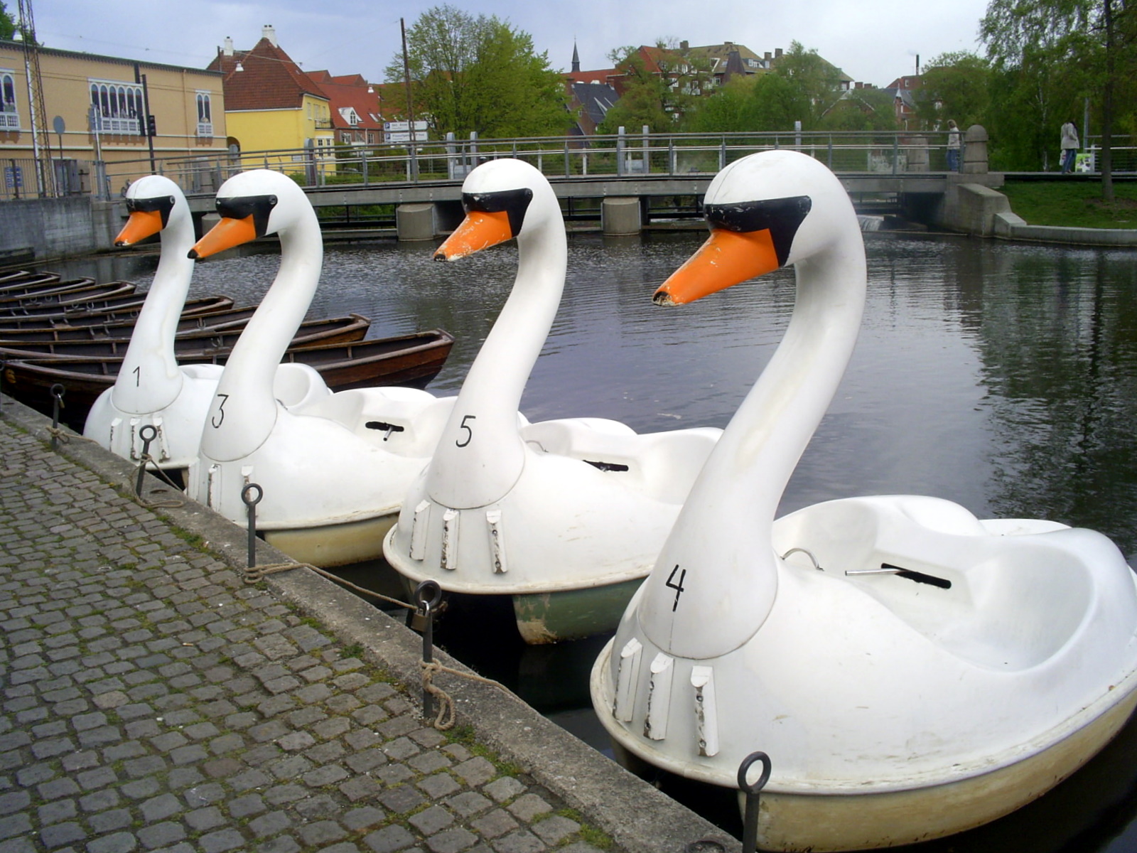 Knud Steffen: Dyr fra Den store Dyrebog: Svanen.Ikke meget at sige.