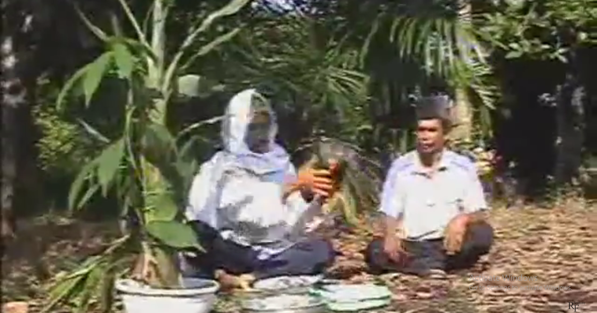 Badewo Bonai Rokan Hulu - Warisan Budaya Tak Benda Riau - RiauMagz