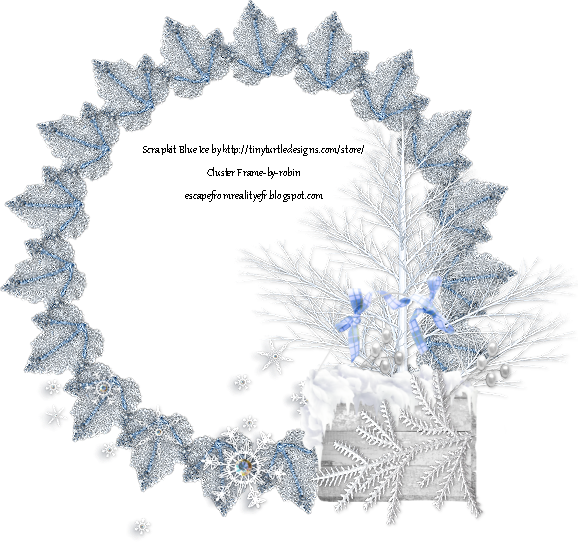 Escape From Reality Blog: FTU 'Blue Ice' Cluster & Cluster Frames