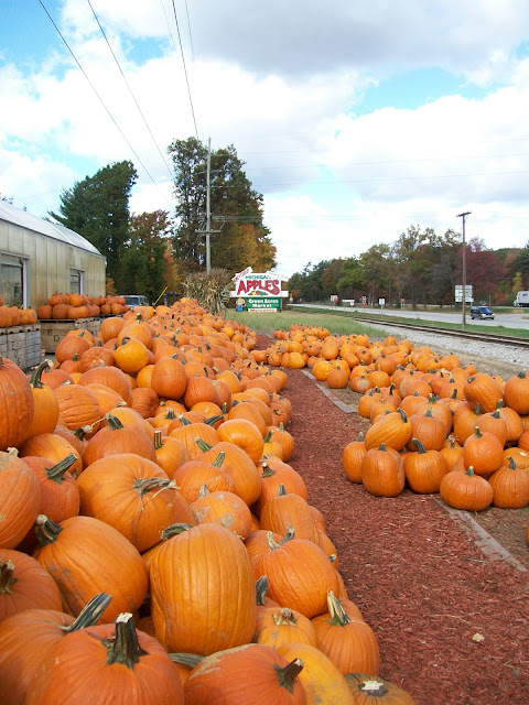 Michigan Cottage Cook: PUMPKIN CHILI OR THE CHILI OF THE ANCIENT AMERICAS