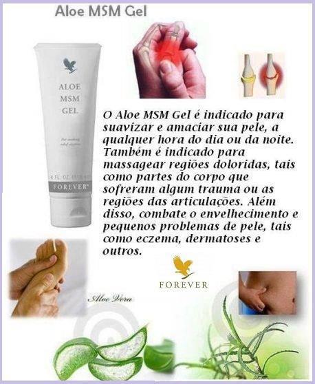 Aloe Vera; Alimento que Rejuvenece, Revigora e Nutre.: Aloe MSM Gel ...