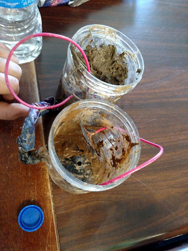 Missy Made It!: STEM Class - Microbial Fuel Cell Project