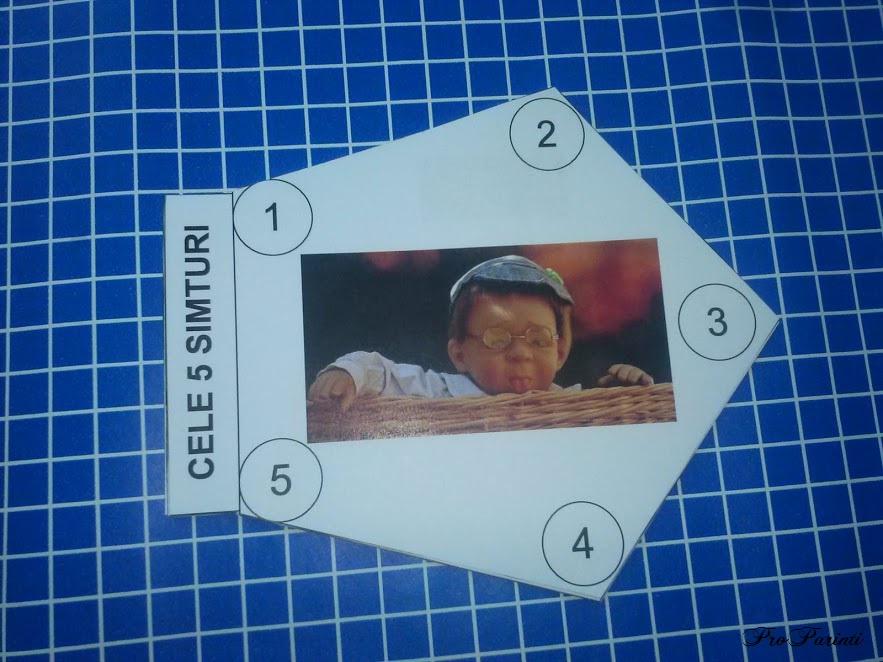 proParinti: Carticica pentagon ”Cele 5 simturi” - personalizata