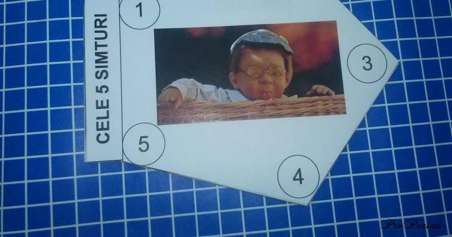 proParinti: Carticica pentagon ”Cele 5 simturi” - personalizata