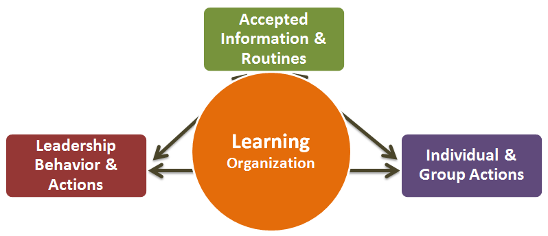 Idea 29 - The learning organization (50 Management ideas you really ...