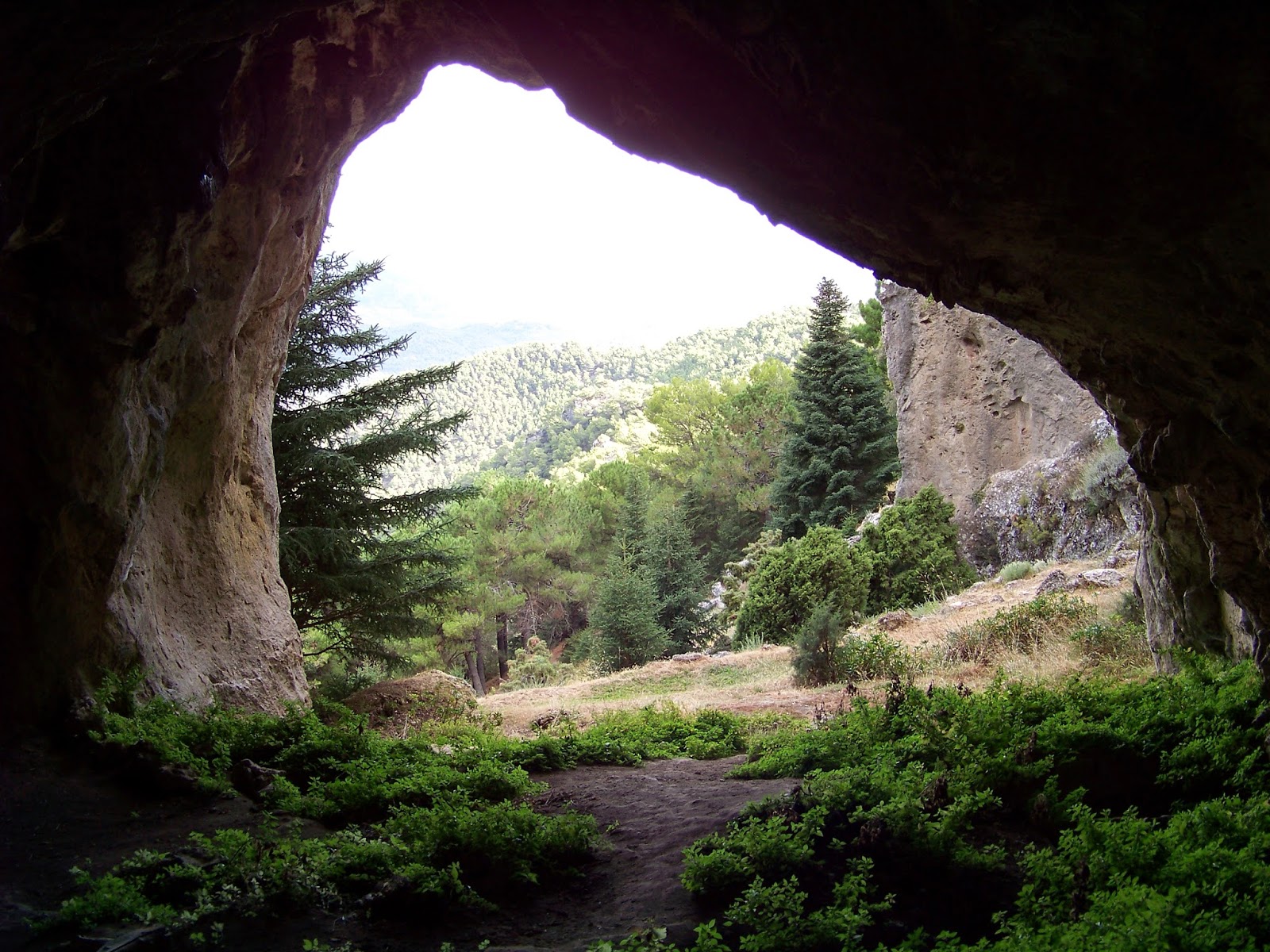 DE SENDEROS: Sendero: Saucillo-Cueva del agua