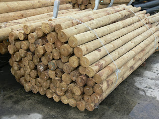 Woolshed 1: New Zealand farming. Fencing – Glossary of terms.