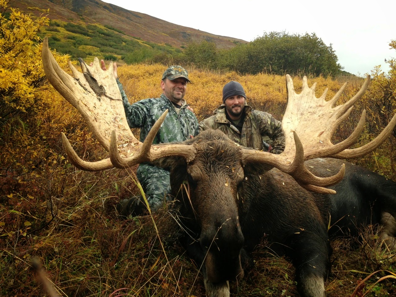 Apuntes de Safaris: Los 5 Grandes de Alaska