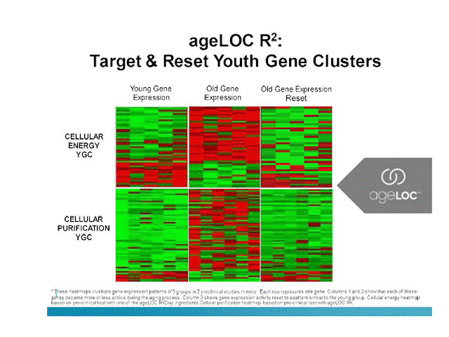 Ageloc R2: Youthful Harmony of Your Mind & Body