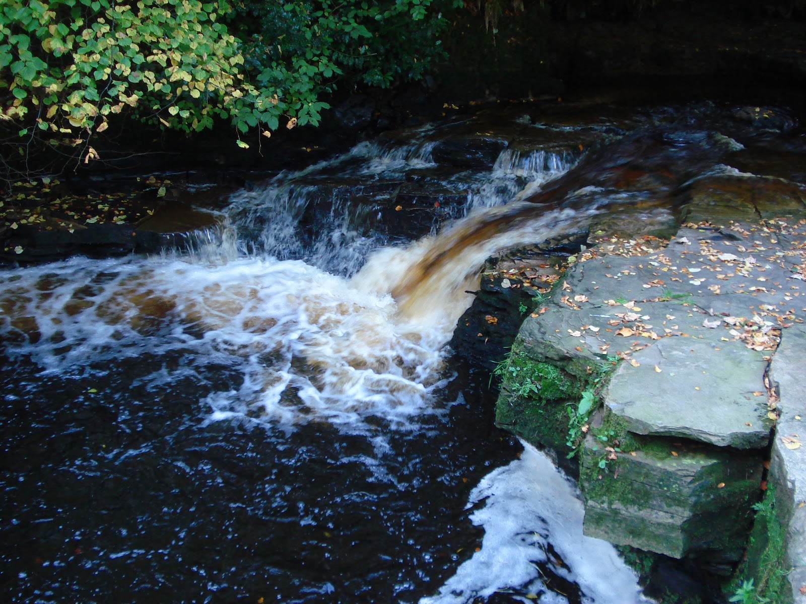 Around Kilmarnock: Dean Castle Country Park