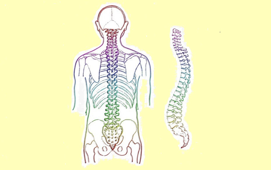 Bolesti chrbtice: Problémy s chrbticou