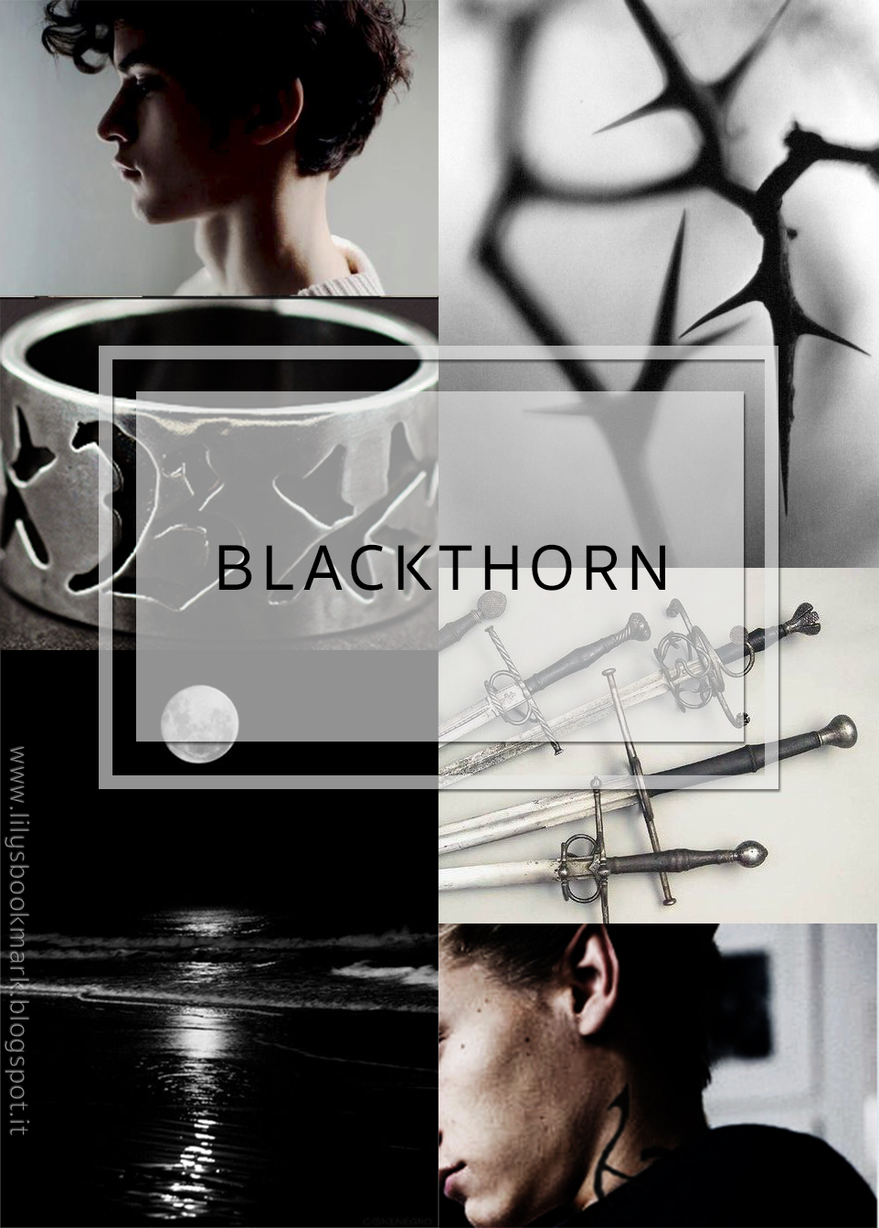 Lilys Bookmark Lord Of Shadows Di Cassandra Clare Recensione