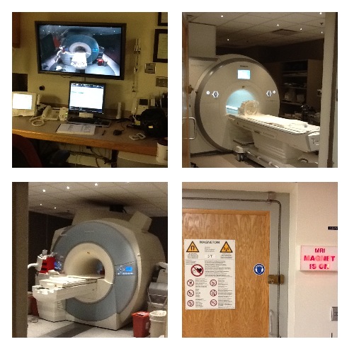 Radiology Imaging & Radiology Ergonomics: Images of different ...