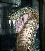 Someday the Dream will End: Guía del Resident Evil (Remake)