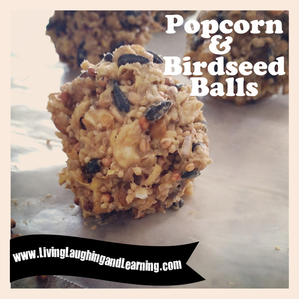 Living, Laughing, and Learning: Popcorn & Bird Seed Balls