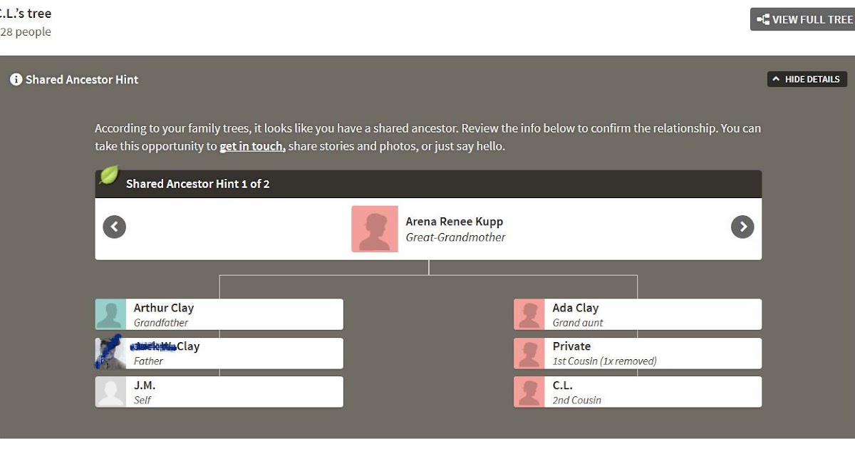 Ancestry and DNA: A common ancestry tree