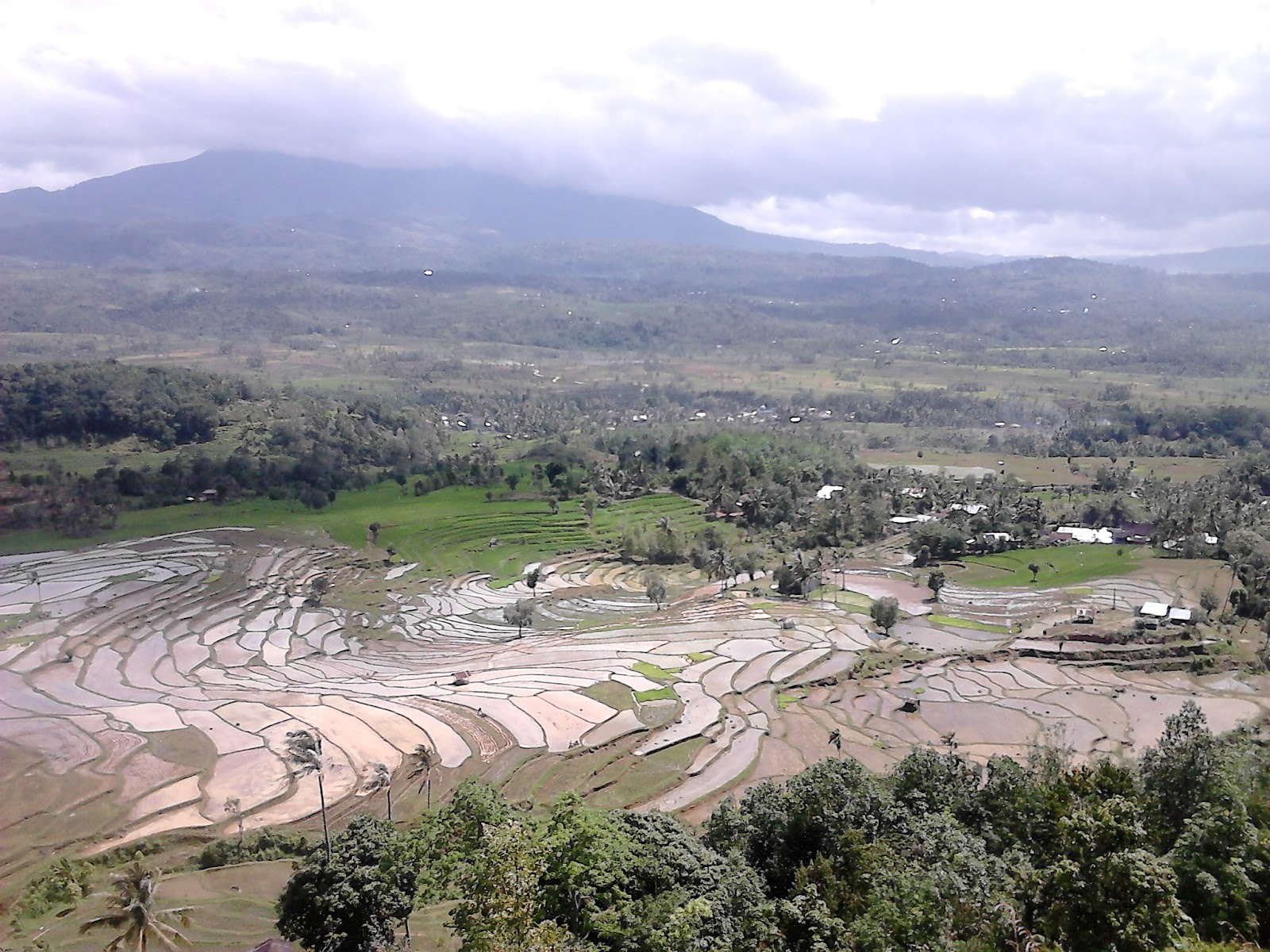 Jual Beras Solok Asli | Cisokan Sokan | Anak Daro | Banang Pulau: Rumah ...