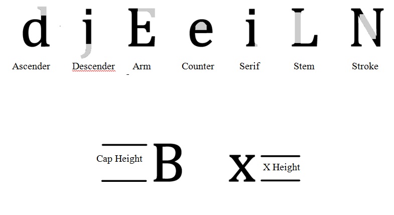 Digital Arts -- Miss. Hornland: 9. Typography: The Basics