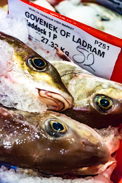 Through the Gaps! - Newlyn Fishing News: Monk and megrim on a Monday ...