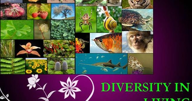 Diversity in living organisms