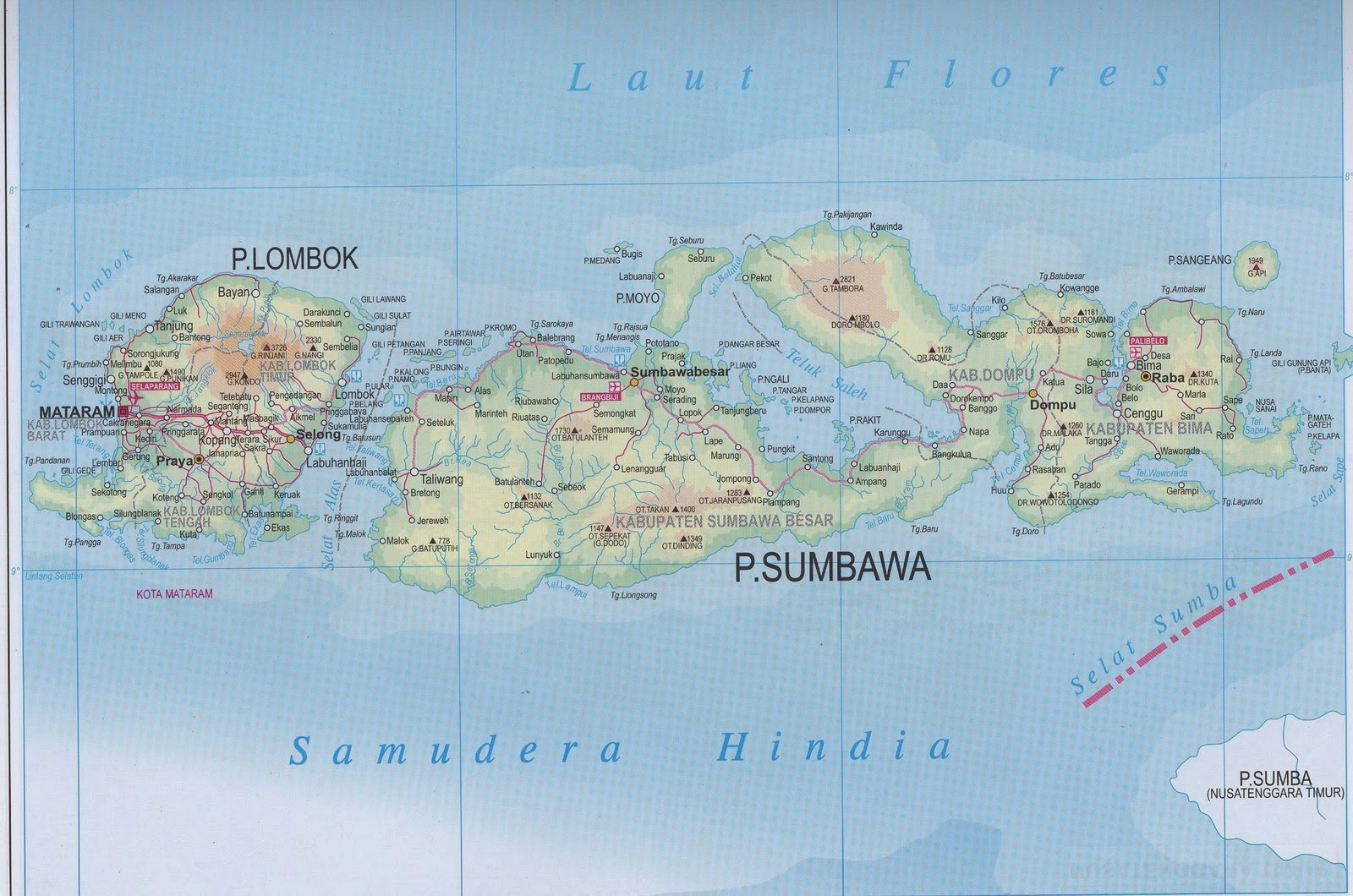 Herbanic Syifa: Agen Pulau Bali, NTT dan NTB