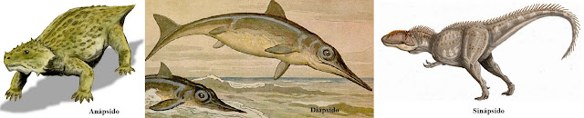 Biological and not-so-biological things: REPTILOMORFOS