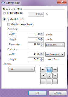 PhotoEffect: How To Create Reflection in Paint.NET