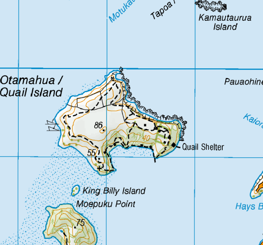 Tramping in the New Zealand backcountry: NZ Bush Adventures: Daytrip to ...