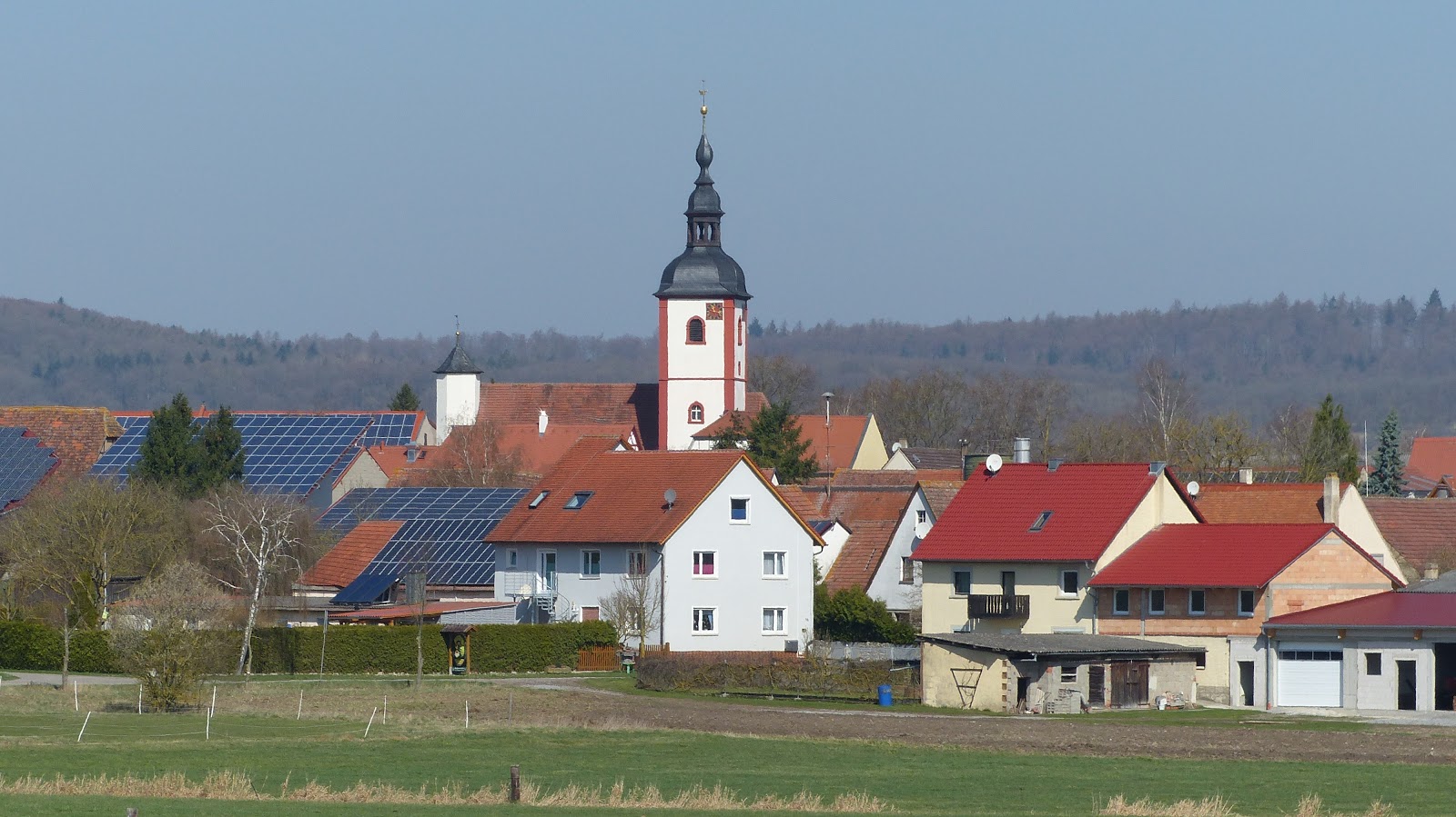 Wandern durch Franken: Fotos - Wanderung Markt Nordheim - Adonisröschen ...