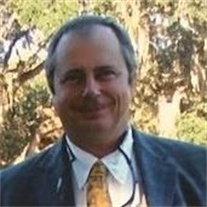 Kathryn's Report: Cessna 401B, owned and operated by the pilot, N401HH ...