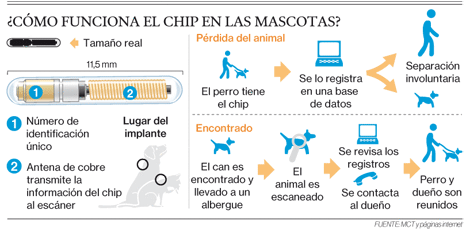 ANIMAL PET SPAIN: El chip en mascotas
