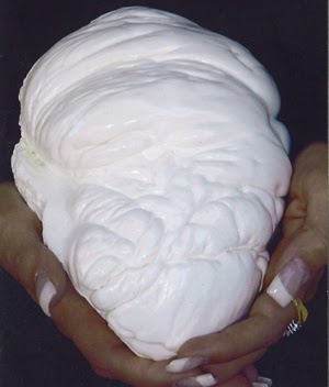 LA PERLE ... DES ROIS