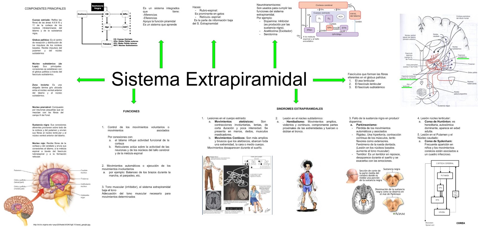 Sistema Extrapiramidal