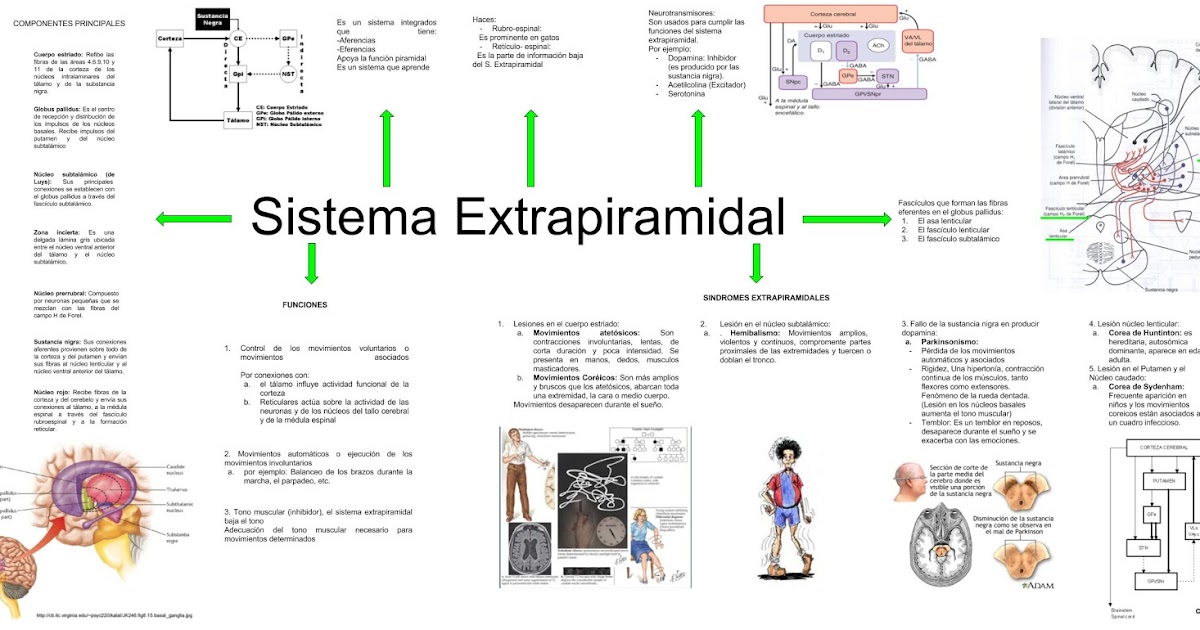 Sistema Extrapiramidal