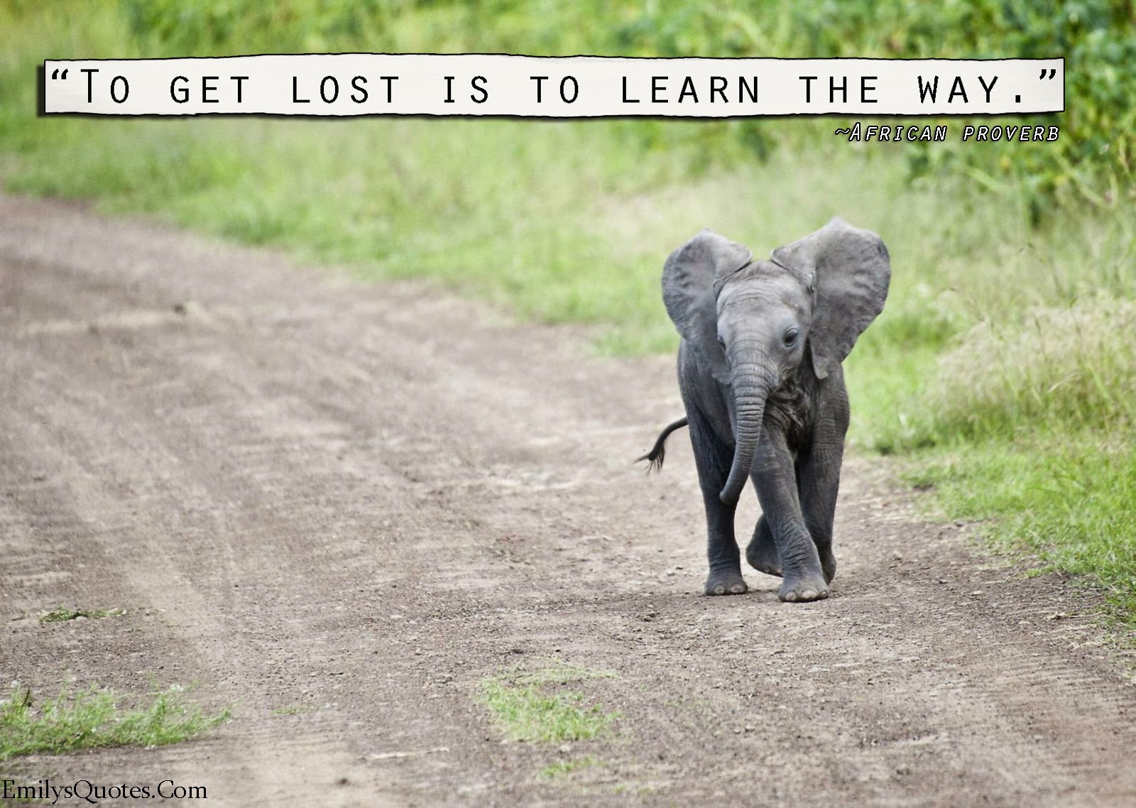 EmilysQuotes on blogger - daily quotes and sayings: To get lost is to ...