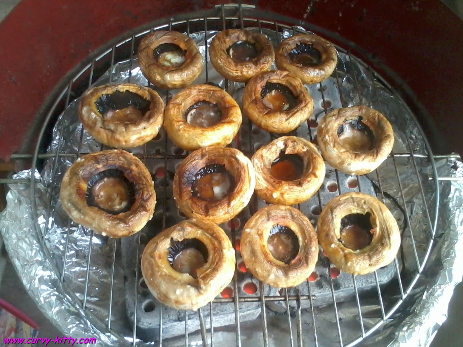 Curvy-Kitty: June BBQ