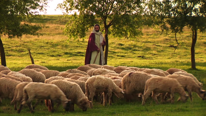 May 7, 2017: 4th Sunday of Easter A