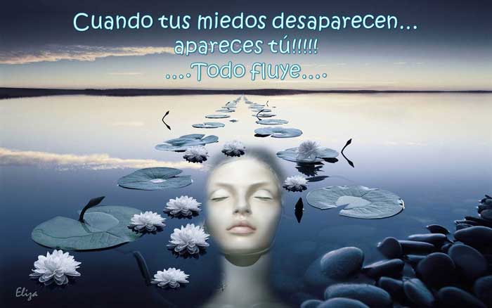 Tarjetas y Postales: Todo fluye!!