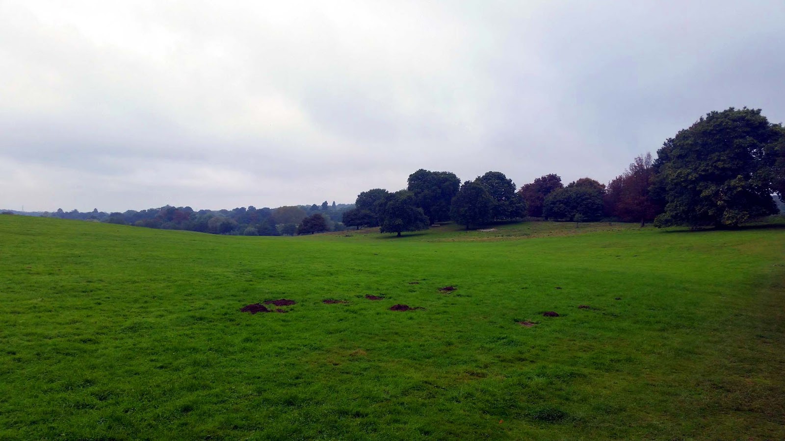 My Adventures 3: South Weald Circular Walk 19th September 2017