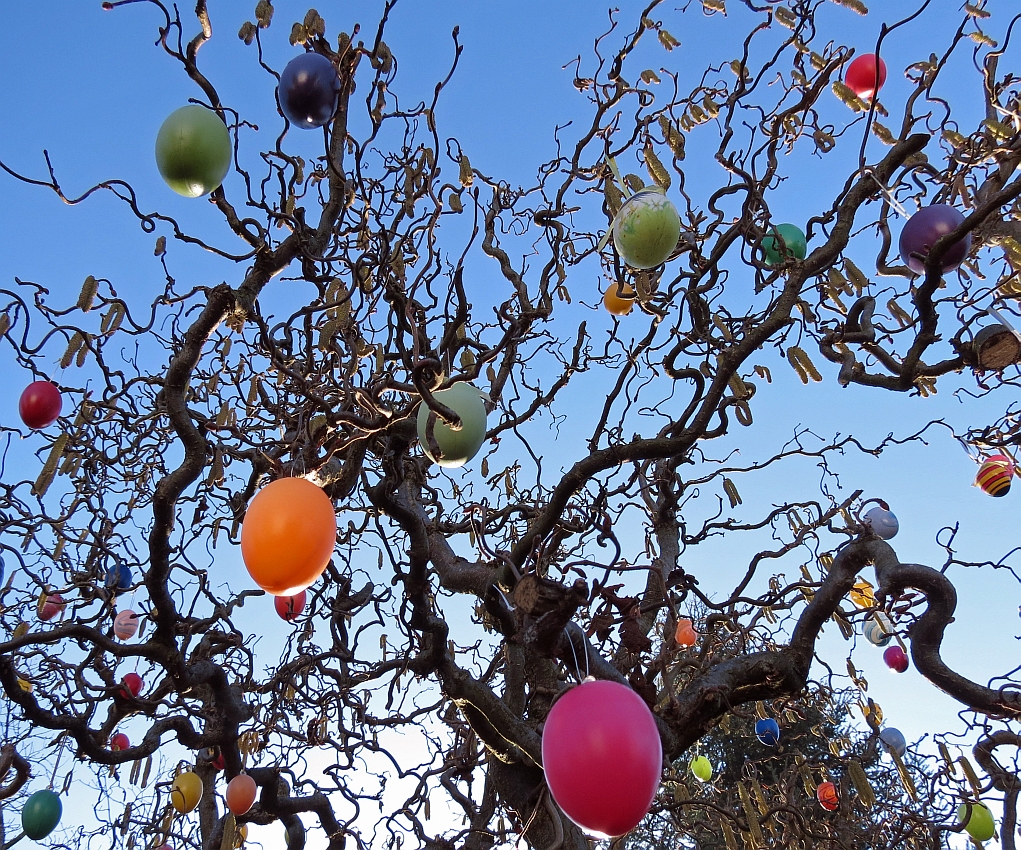 Looking around: Osterbaum