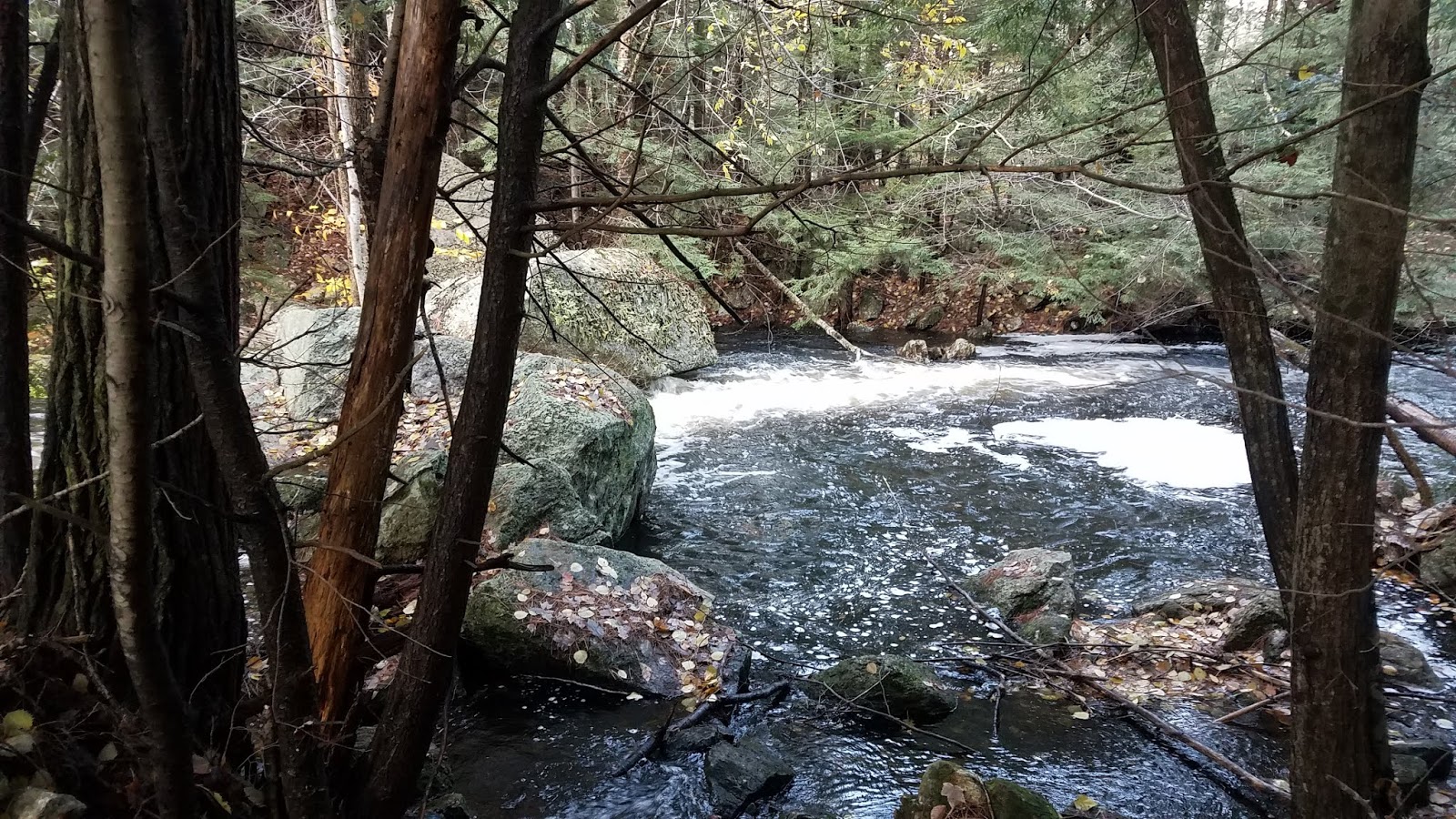 The Grumpy Old Scientist's Picture Page: When