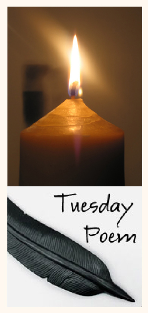 The Tuesday Poem: Carol Ann Duffy