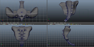 Bear Spawn Creations!