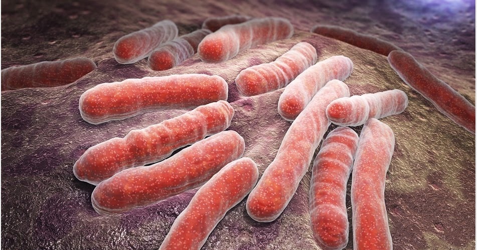 😷 LA TUBERCULOSIS ES UNA ENFERMEDAD INFECCIOSA, PREVENIBLE Y CURABLE