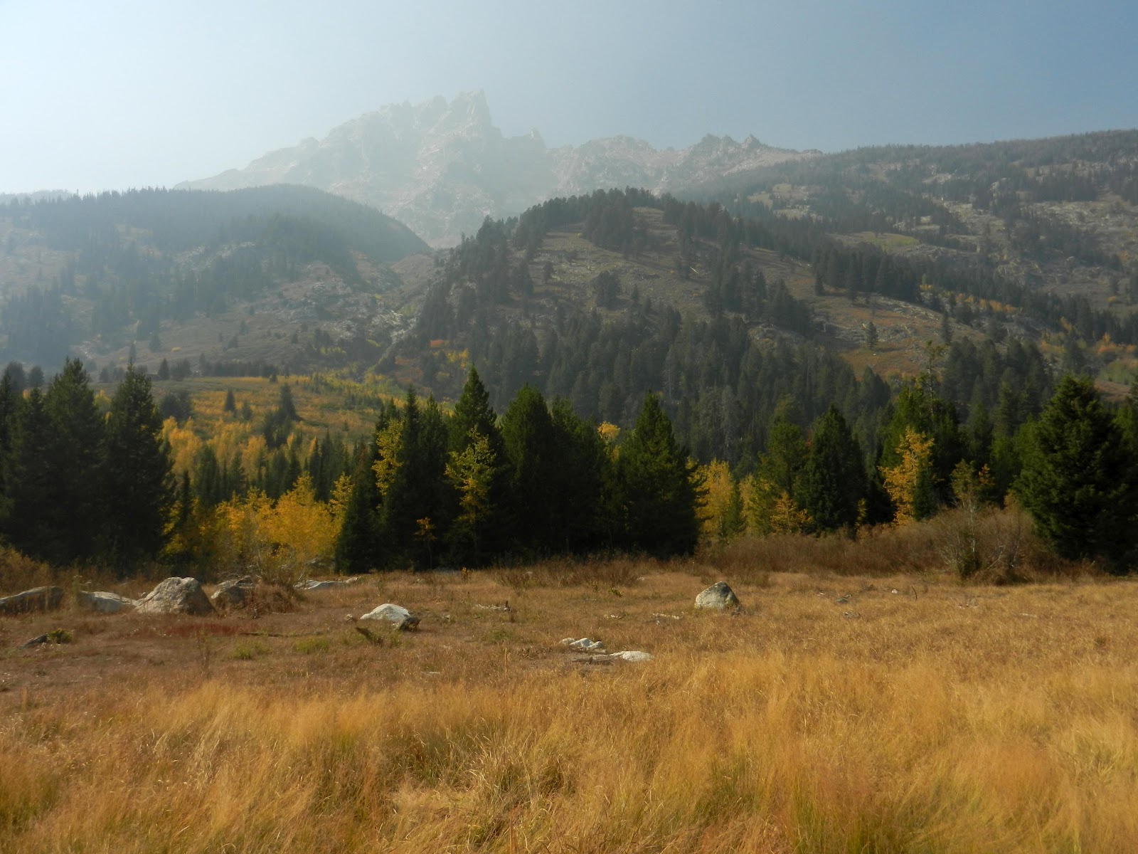 Cat Patches: Moose Ponds Loop Trail