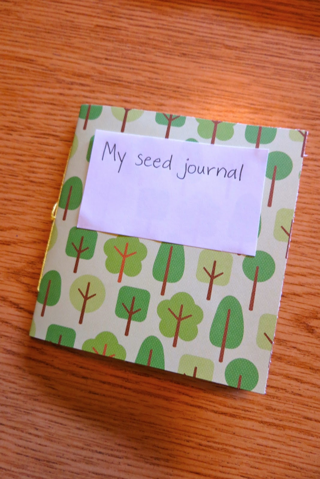 Ms. Sara's Preschool Blog: Gardens - Seed Journal